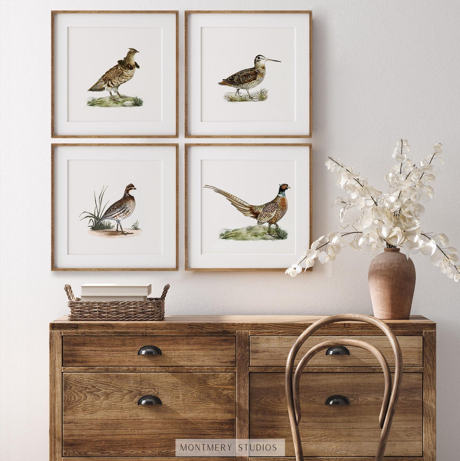 North American Game Bird Prints: Ring-necked Pheasant, Wild Turkey ...