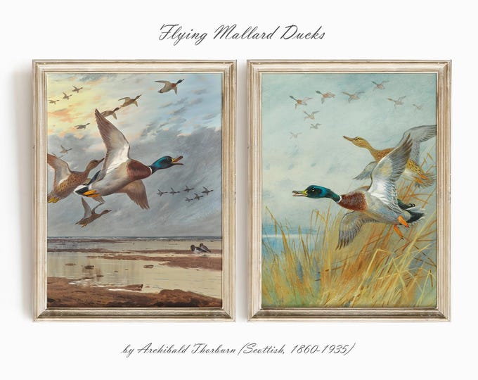 Duck Art Bird Wall Art Waterfowl Paintings Giclee Wall Art Vintage Duck ...
