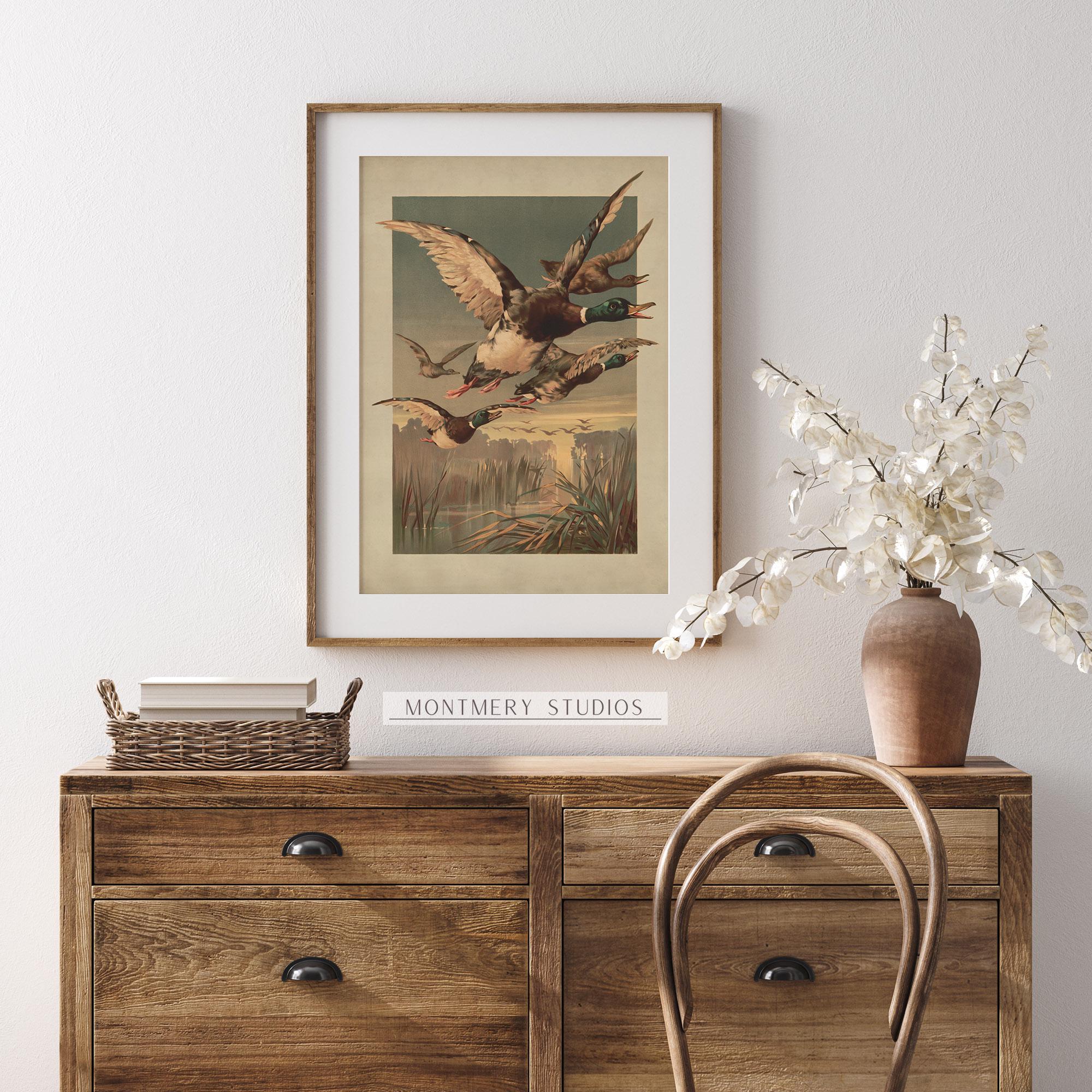 Flying Mallard Ducks Poster, Vintage Upland Hunt Print, Antique ...
