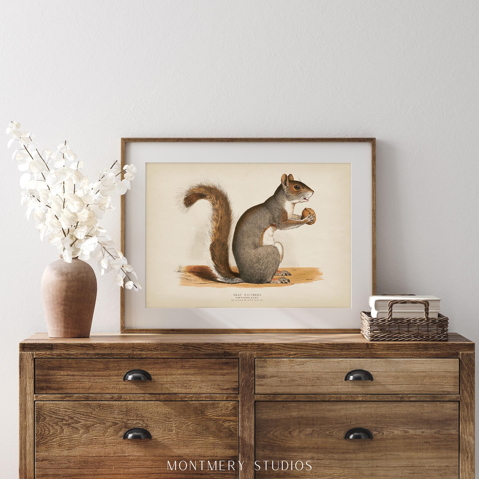 Vintage Squirrel Print, Squirrel Illustration Poster, Squirrel Drawing ...