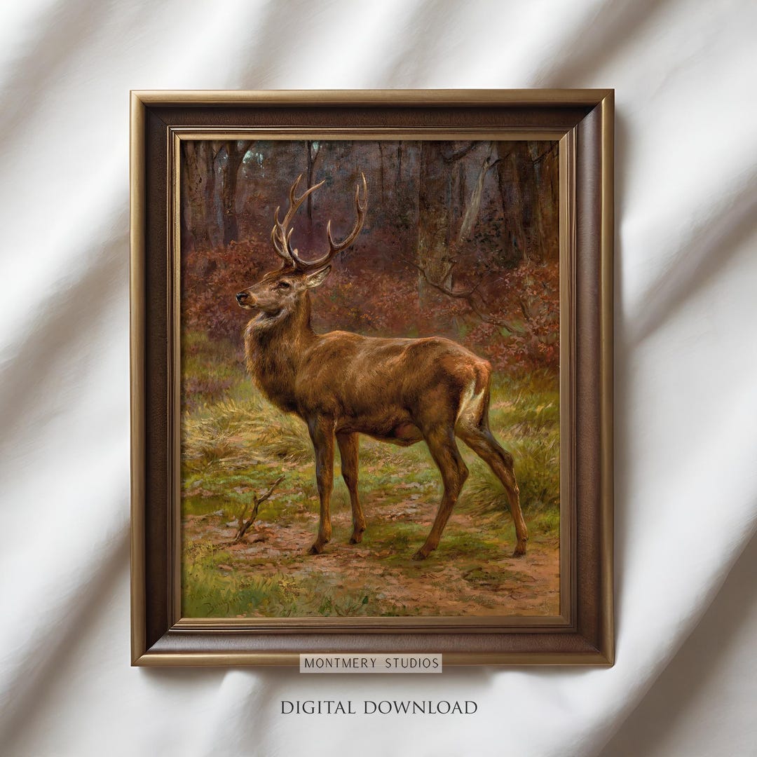 Stag in an Autumn Landscape, Vintage Red Deer Wall Art, Deer Hunting ...