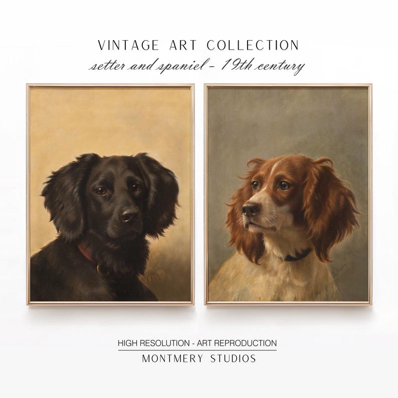 Setter and Spaniel Dog Prints, Vintage Animal Wall Art Set of 2, Rustic ...