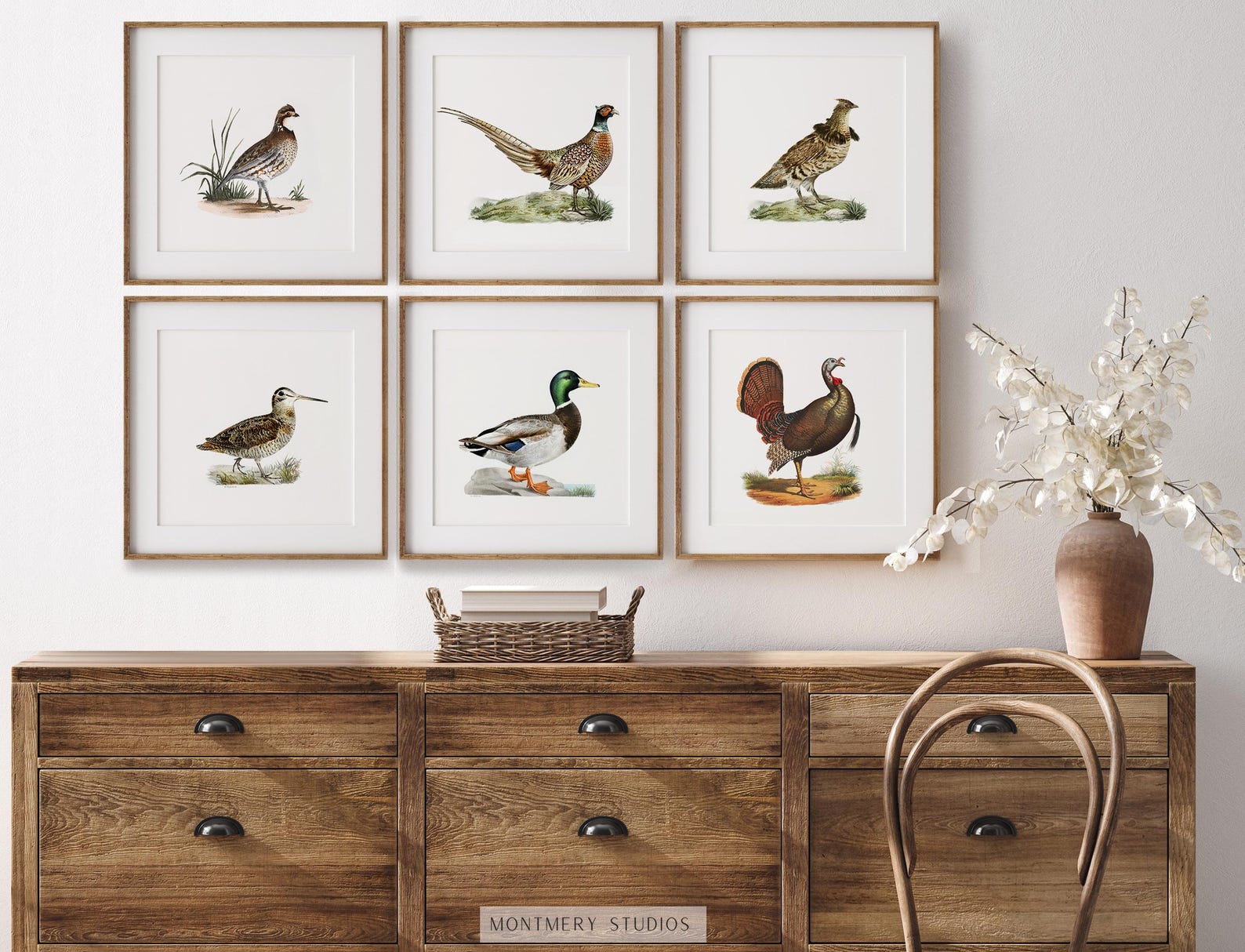 North American Game Bird Prints: Ring-necked Pheasant, Wild Turkey ...