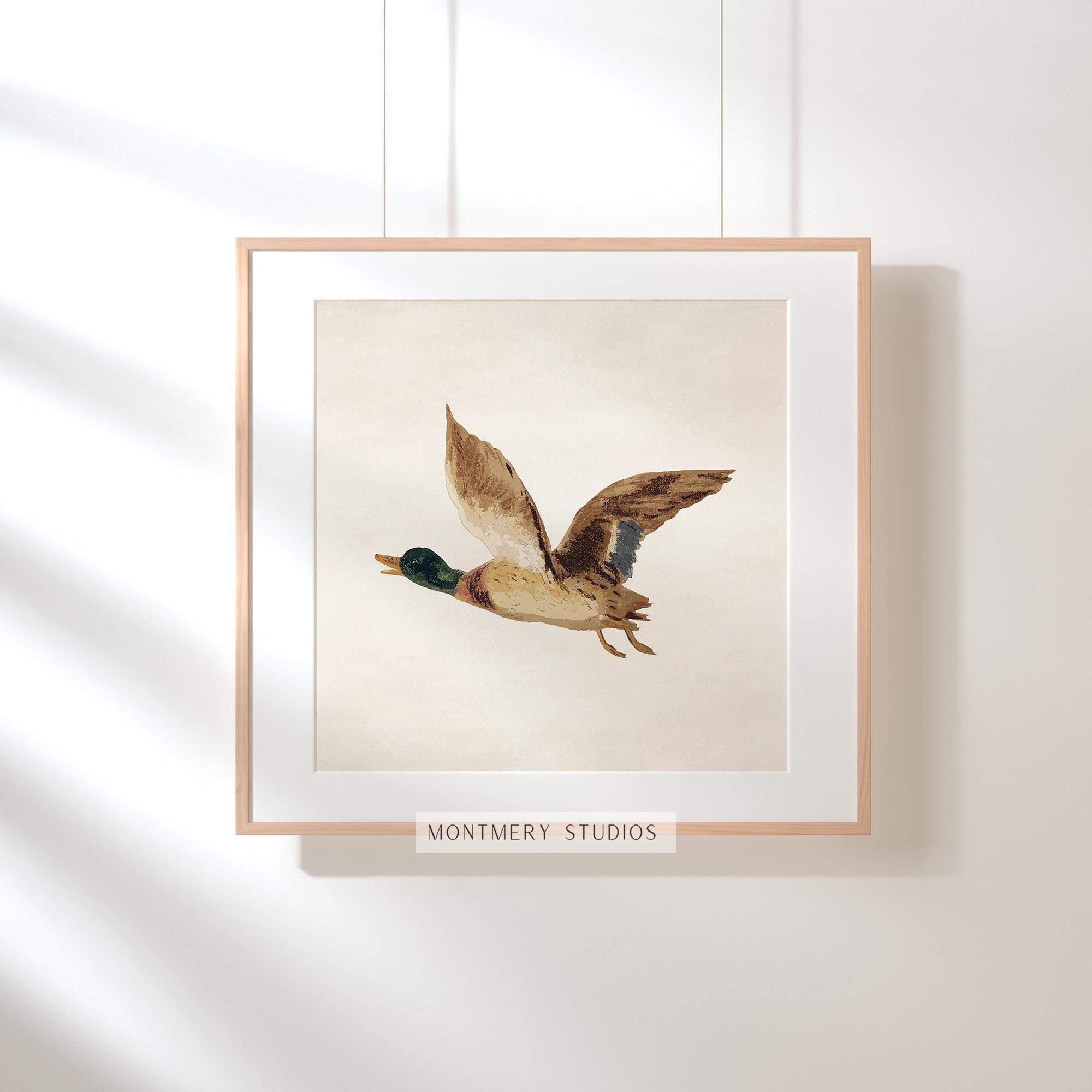 Flying Ducks Prints, Set of 4 Mallard Duck Wall Art, Square Nursery ...