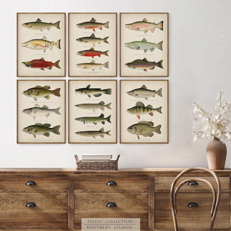 Vintage Freshwater Fish Prints Set of 6, Trout, Bass, Salmon, Pike ...