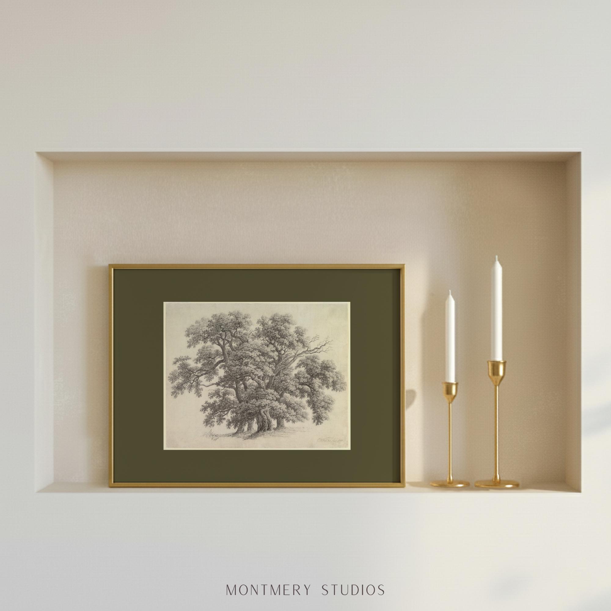 Printable Oak Tree Etching, Antique Tree Pencil Drawing, Muted Dark ...