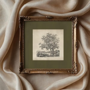 Vintage Oak Tree Etching, Square Printable With Sage Green Mat, Antique ...