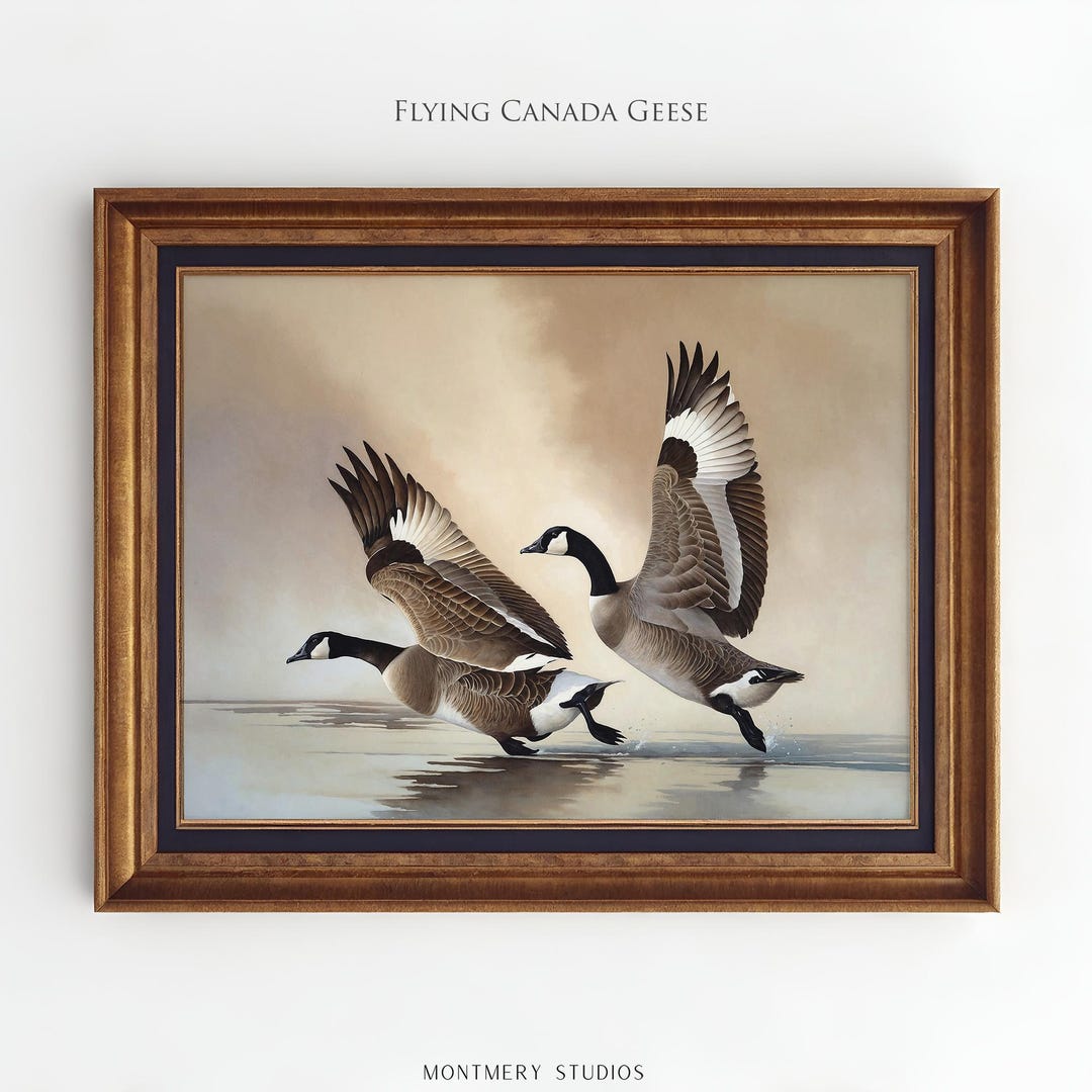 Canada Goose Print, Flying Canada Geese, Lake House Decor, Goose ...