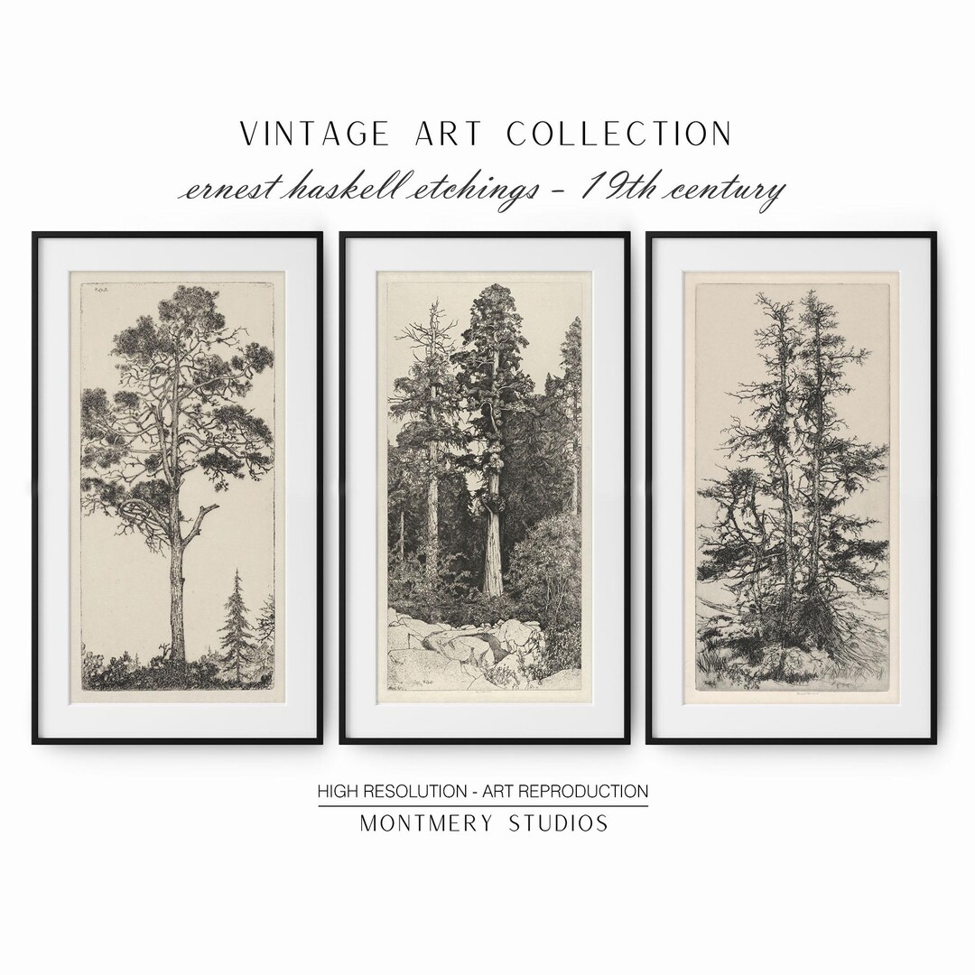 Triptych Wall Art Set, Black and White Forest Drawings, Vintage Ernest ...