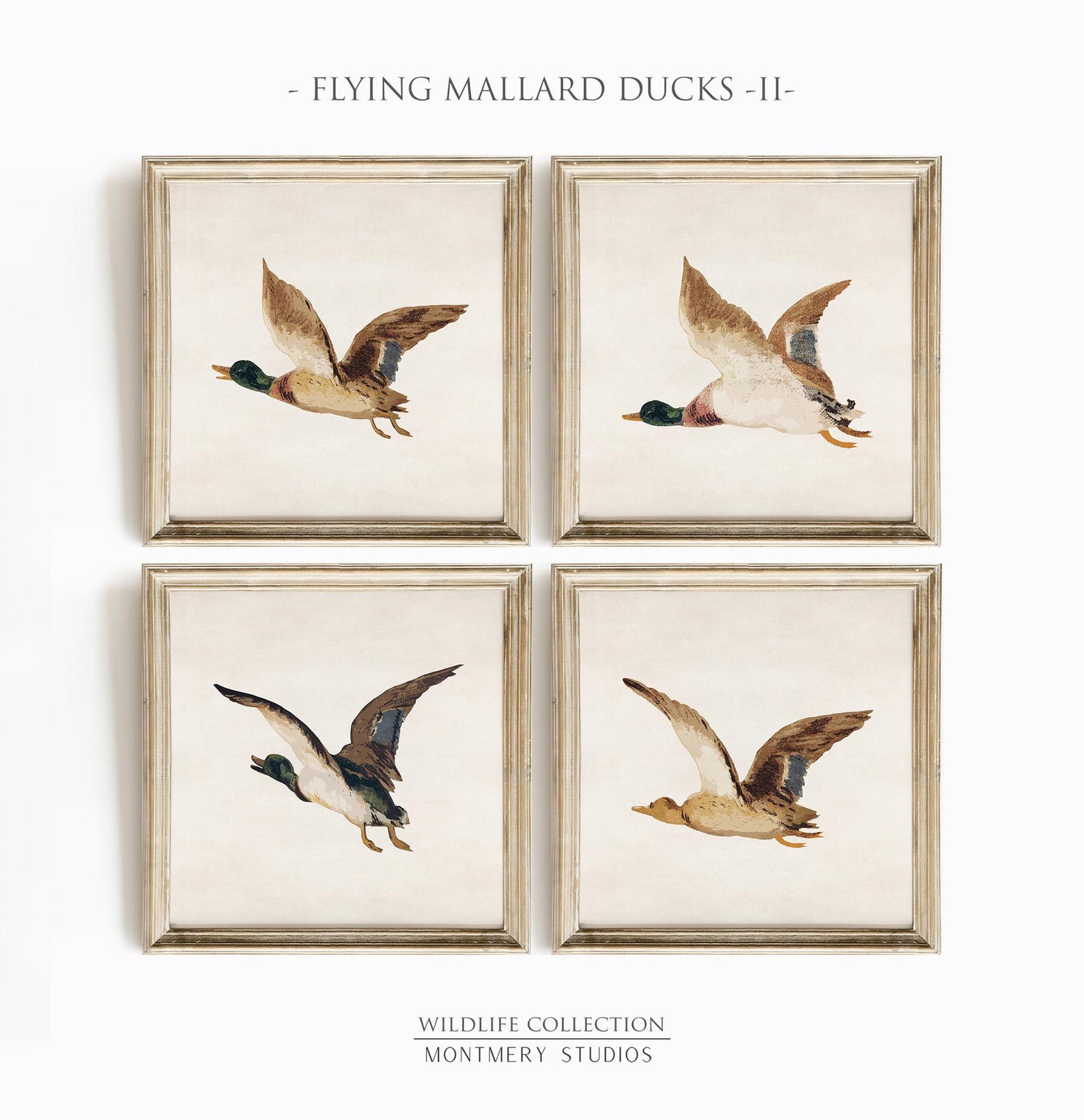 Flying Ducks Prints, Set of 4 Mallard Duck Wall Art, Square Nursery ...