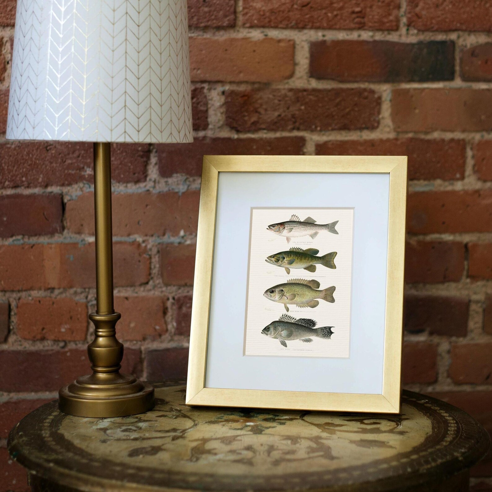 Bass Fishing Prints, Striped, Smallmouth & Rock Bass Art, American Game ...