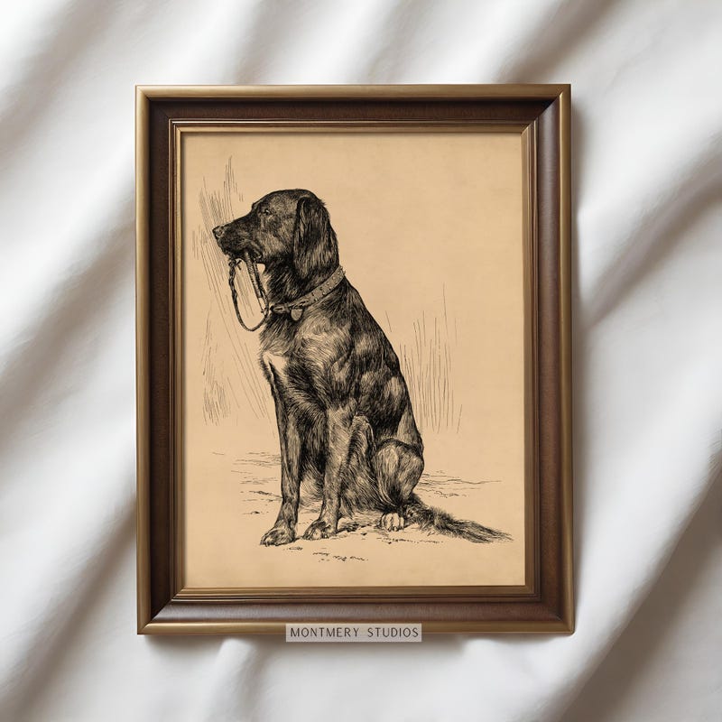 Black Labrador Baby Print - Etsy