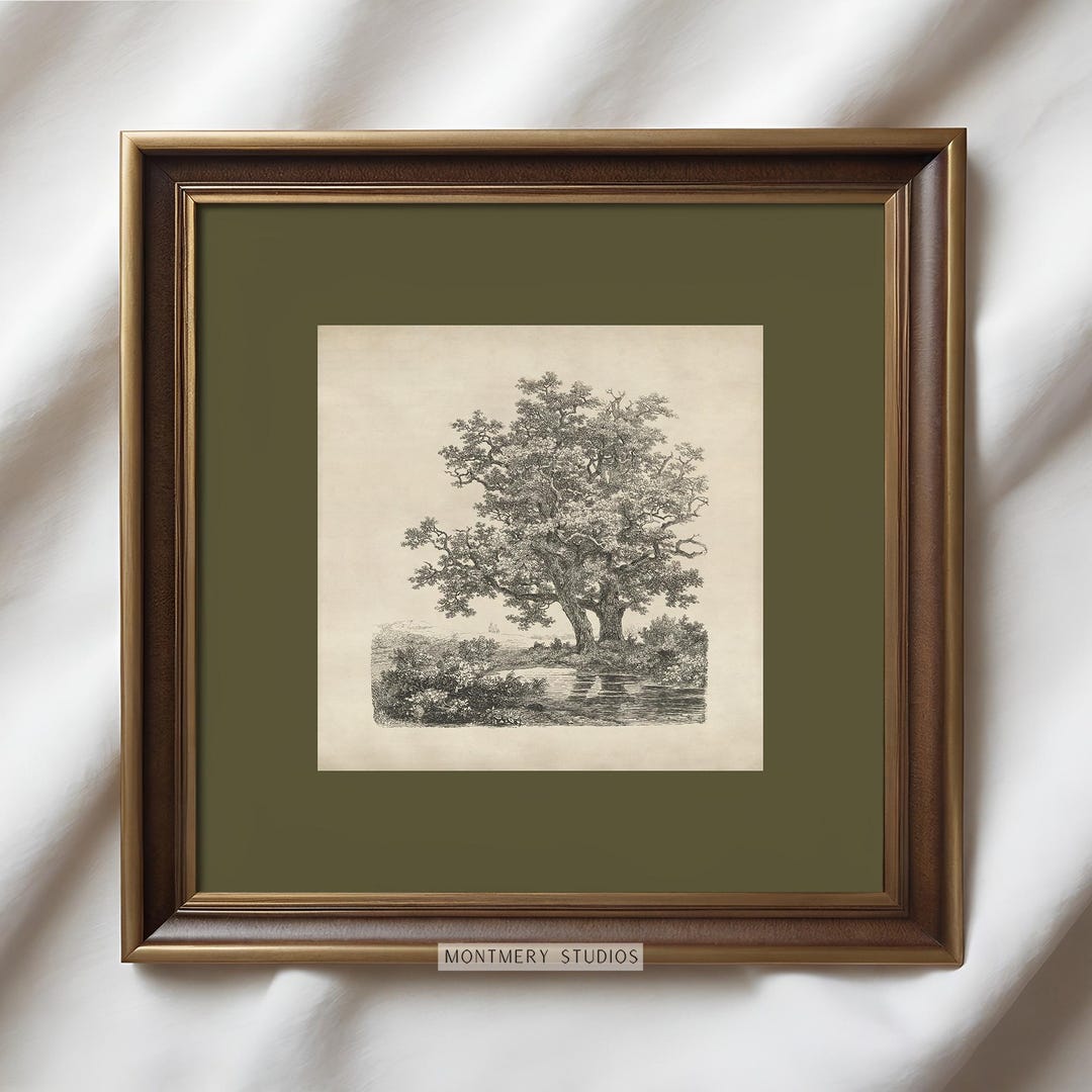 Vintage Oak Tree Etching, Square Printable With Sage Green Mat, Antique ...