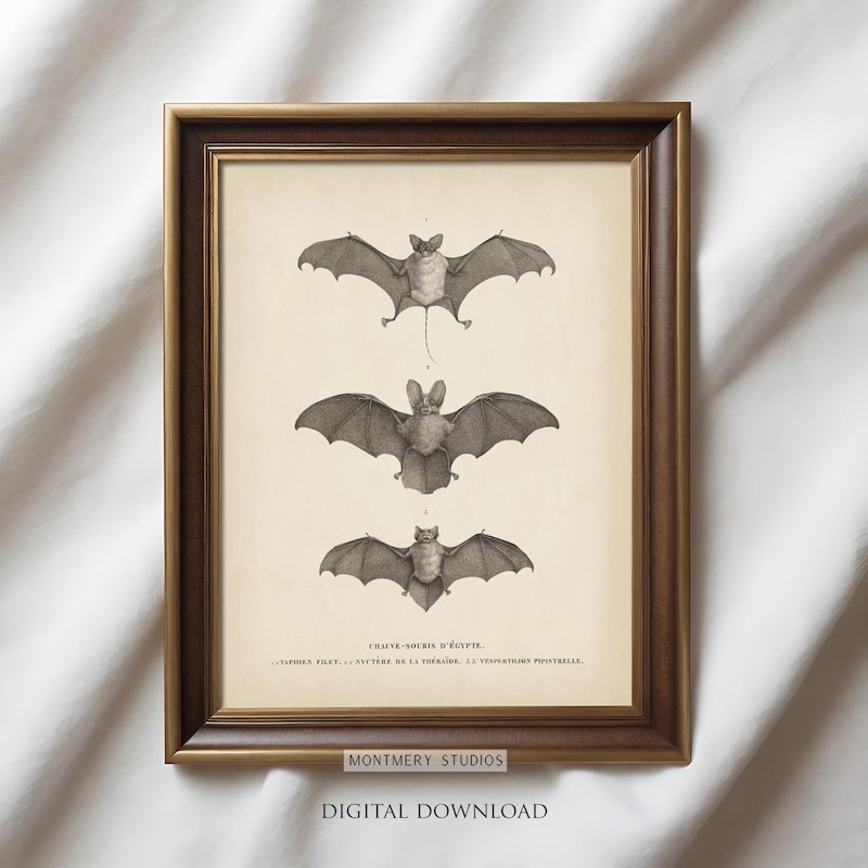 Bat Poster - Etsy