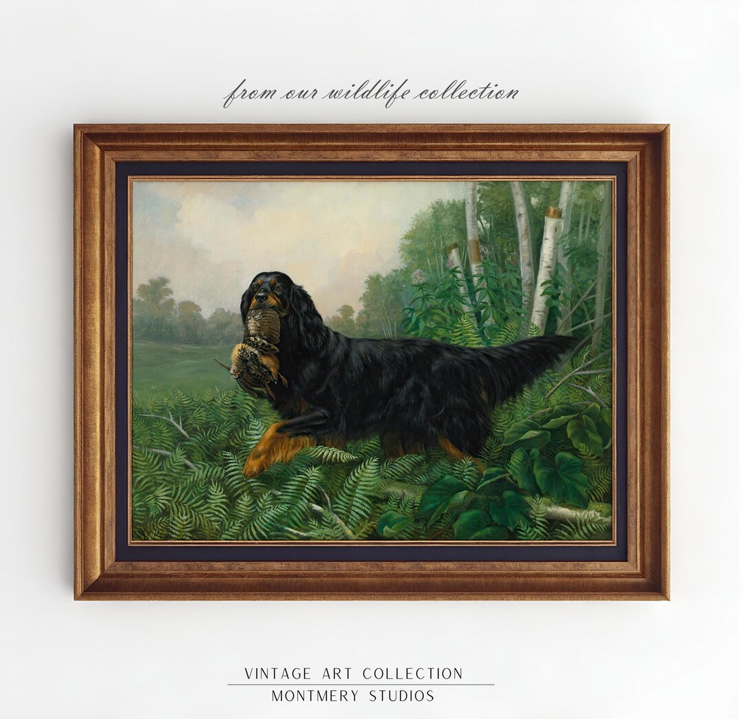 Gordon Setter Hunting Dog Print, Woodcock Wildlife Art, Vintage Hunting ...