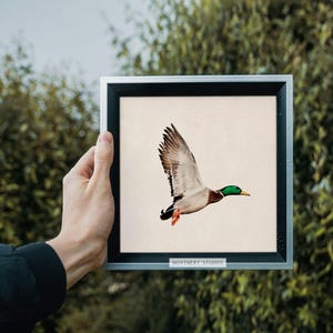 Flying Mallard Ducks Wall Art Set of 4, Square Vintage Wildlife Prints ...