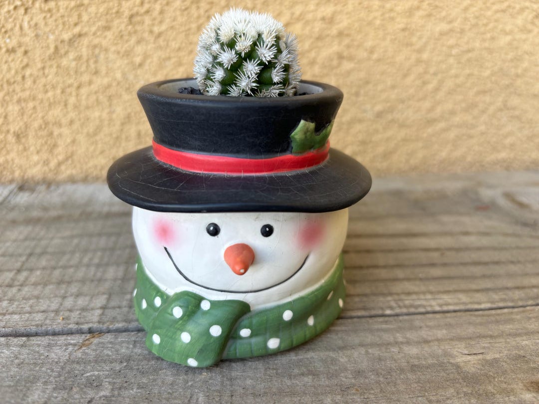 Mammillaria Snowman Planter - Etsy