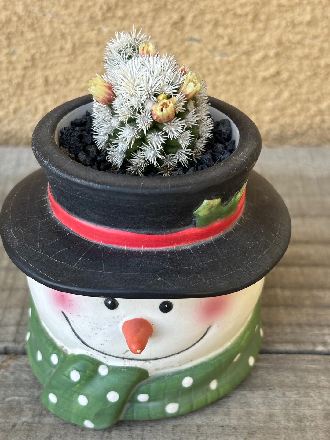 Mammillaria Snowman Planter - Etsy