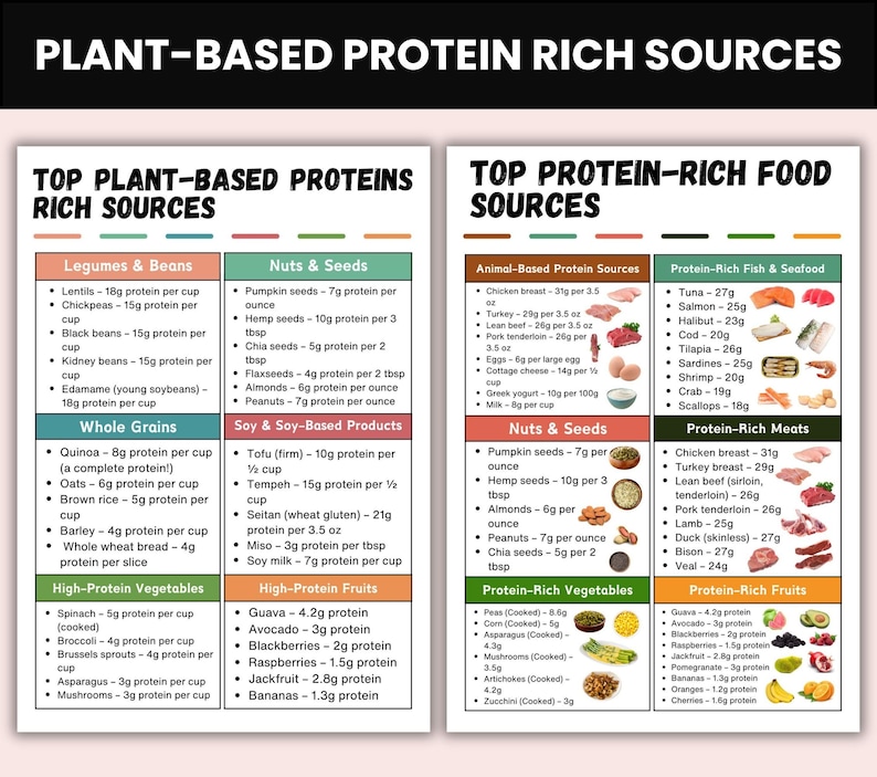 Nutrients Food Chart Bundle, Ultimate Nutrition Bundle, Vitamins ...