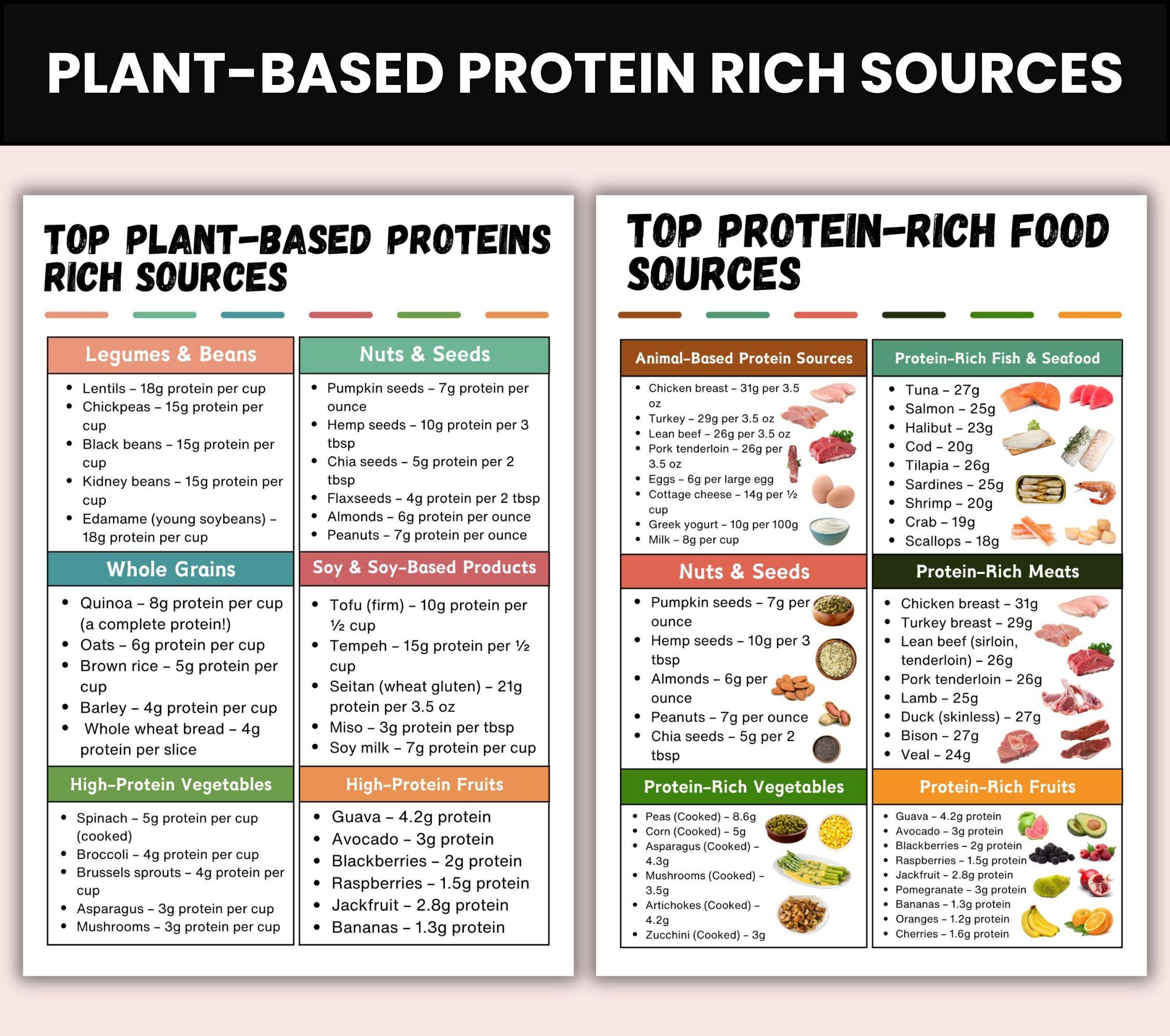 Nutrients Food Chart Bundle, Ultimate Nutrition Bundle, Vitamins ...