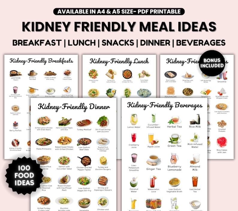 Kidney Friendly Meal Ideas Printable, Kidney Diet Meal Plan for Kidney ...
