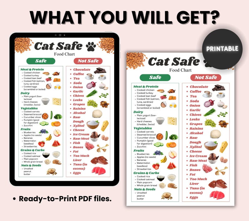 Cat Food Guide, Printable Safe Cat Food Cats to Eat, Cat Dietary Chart ...