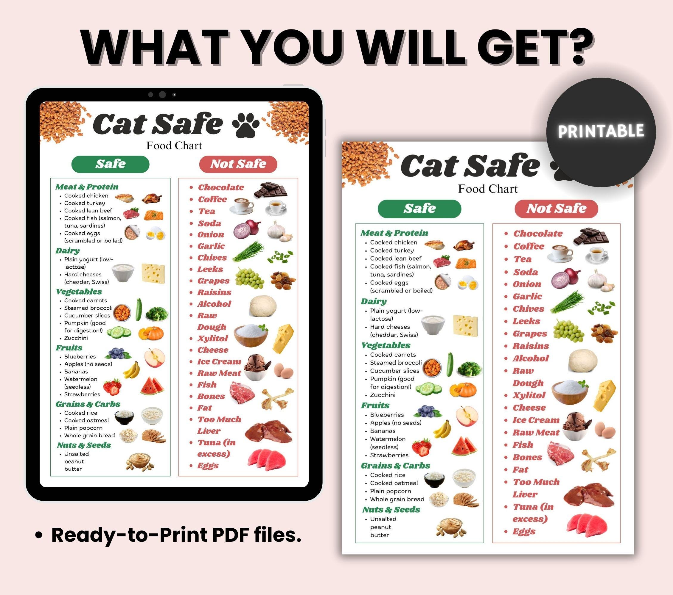 Cat Food Guide, Printable Safe Cat Food Cats to Eat, Cat Dietary Chart ...