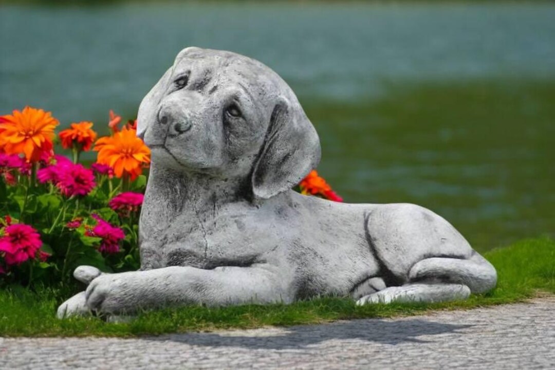 Realistic Labrador Dog Sculpture, Beton Pet Statue, Garden Dog ...