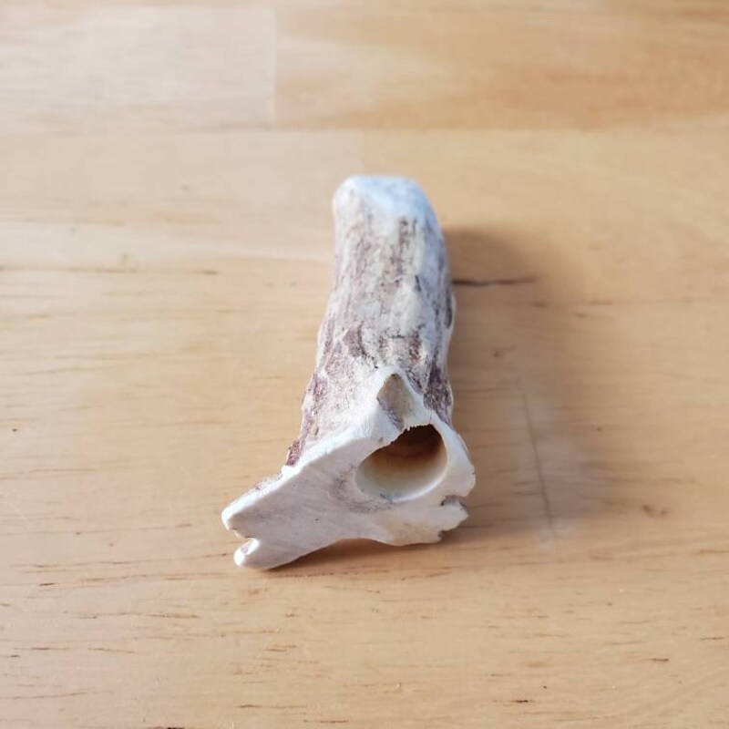 Antler Pipes - Etsy