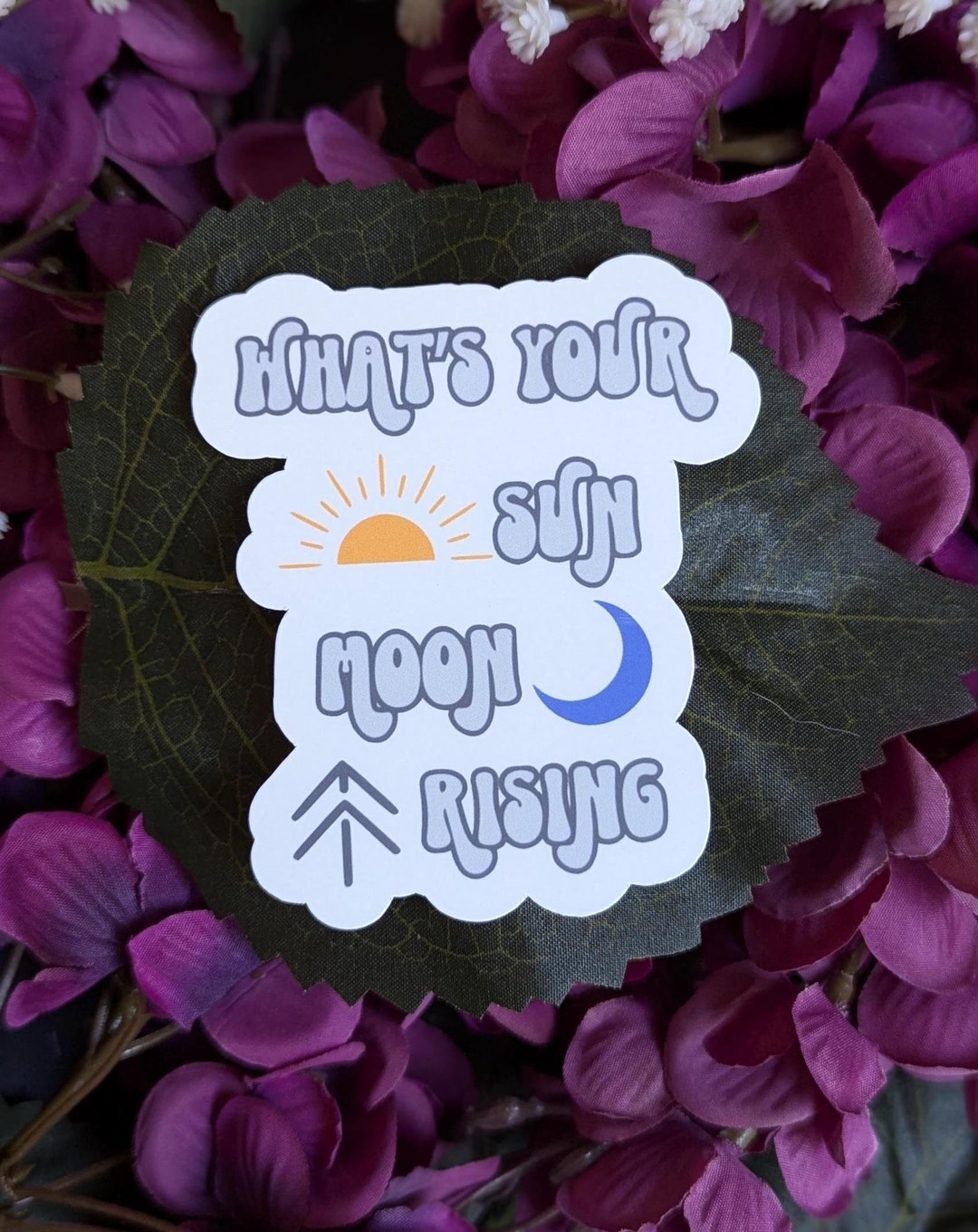 What's Your Sun Moon Rising Sticker | Waterproof Sticker | Funny Gifts ...