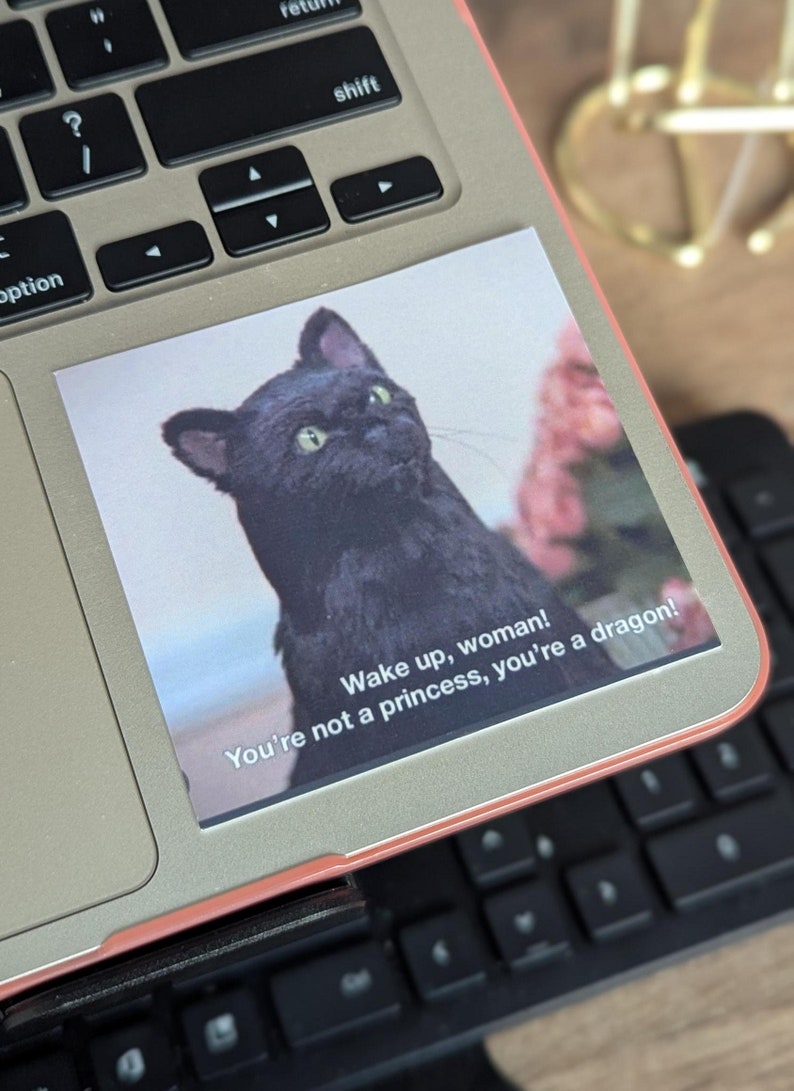 Salem Black Cat Sticker | Sabrina Teenage Witch Sticker L Horror Fan ...