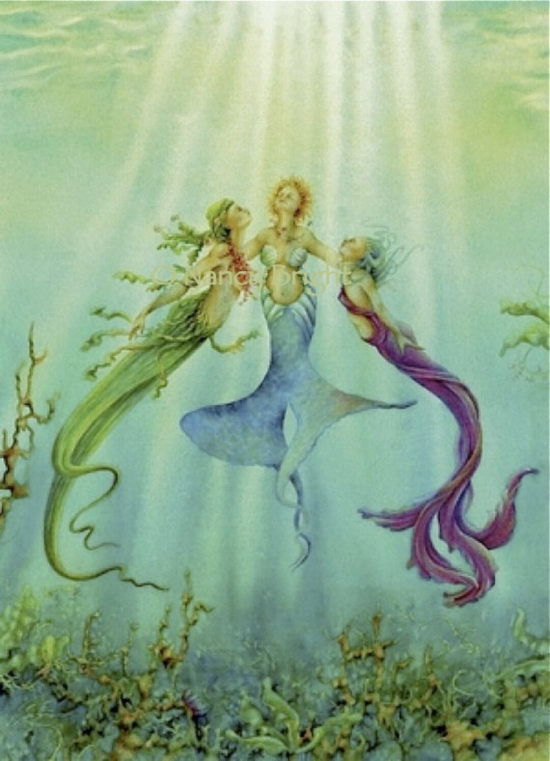Sisters of the Sea - Three Mermaids Bask Underwater in the Rays of the ...