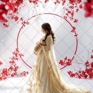 10 Shades of Red Beautiful Maternity Digital Backdrop, Floral Pregnancy ...