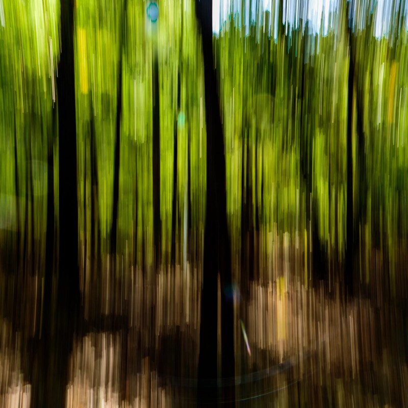 Abstract Nature Art - Etsy