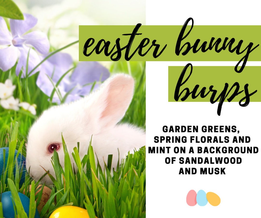 Easter Bunny Burps Fragrance Oil: Spring Floral Potpourri Refresher (1 ...