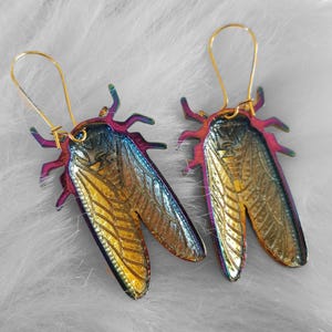 Psychedelic Cicada Earrings | Cicada Earrings | **NEW | Gift for Her ...