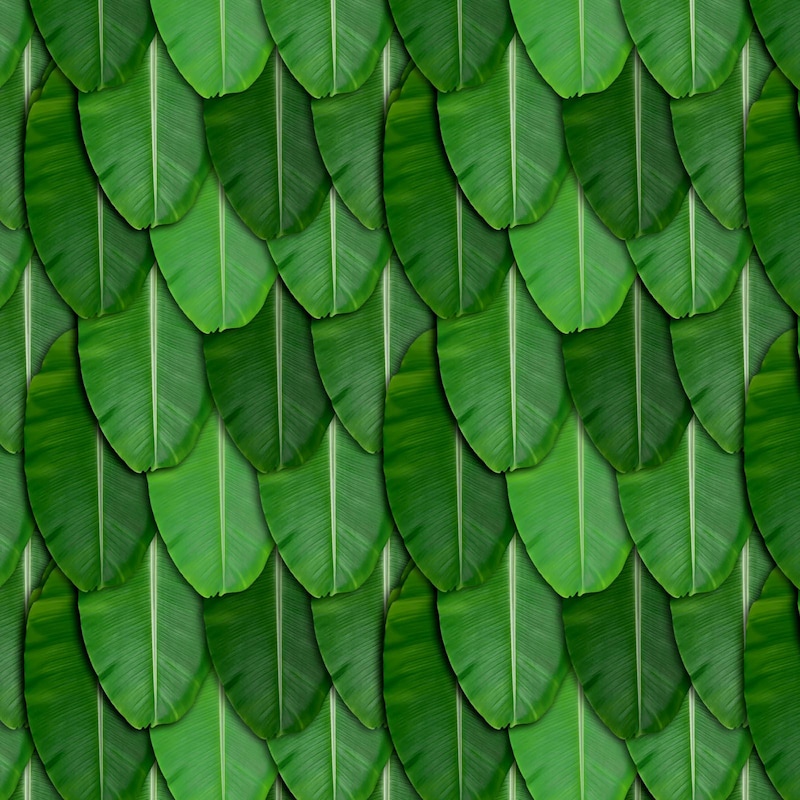 Banana Leaves Backdrops - Etsy