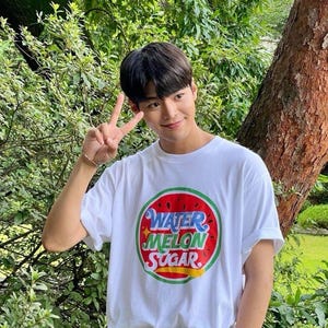 Watermelon Sugar Kdrama Tee, Twinkling Watermelon Graphic Shirt, Summer ...
