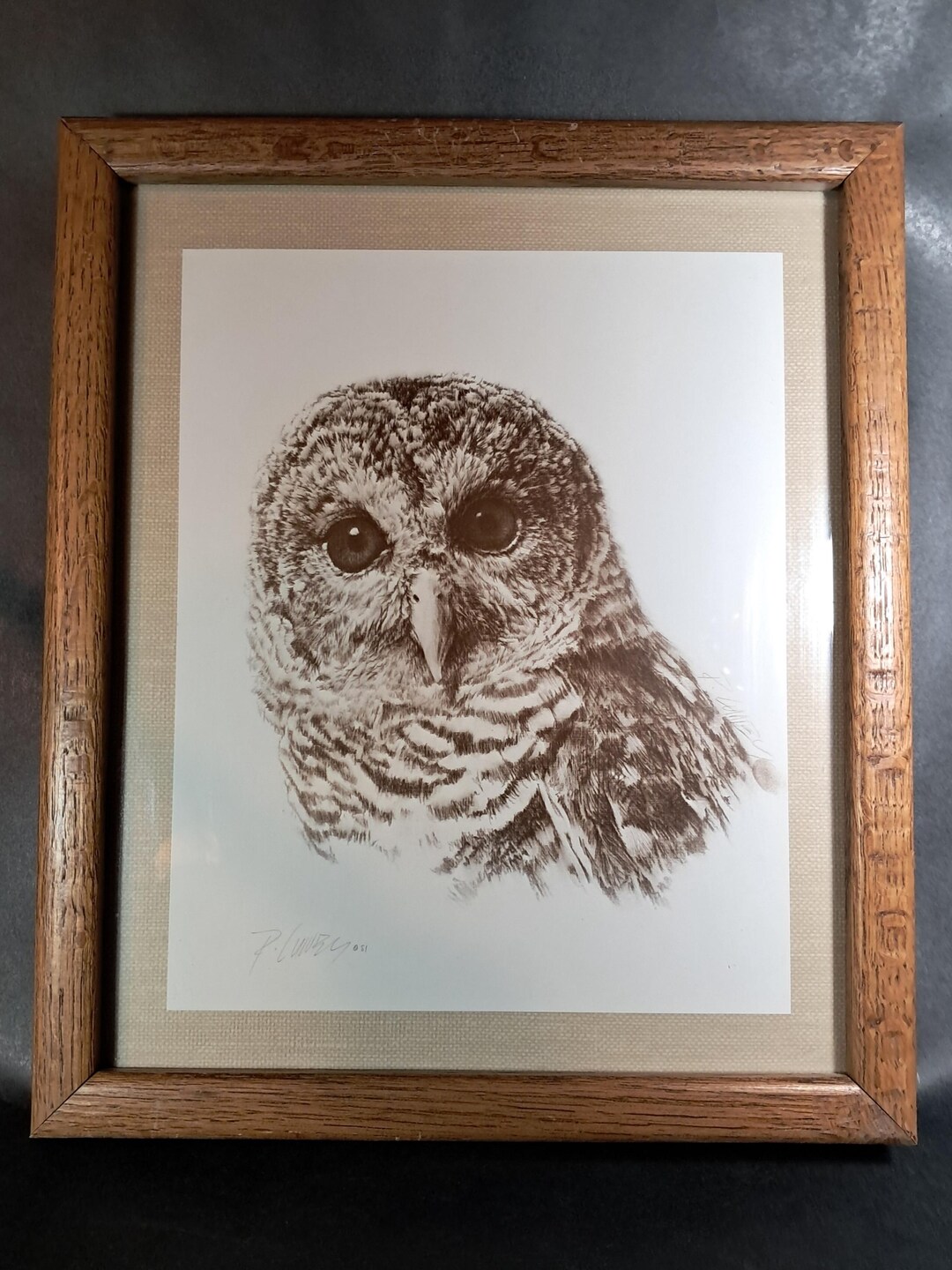 Vintage Portrait of a Barred Owl Signed by Artist 1981 - Etsy