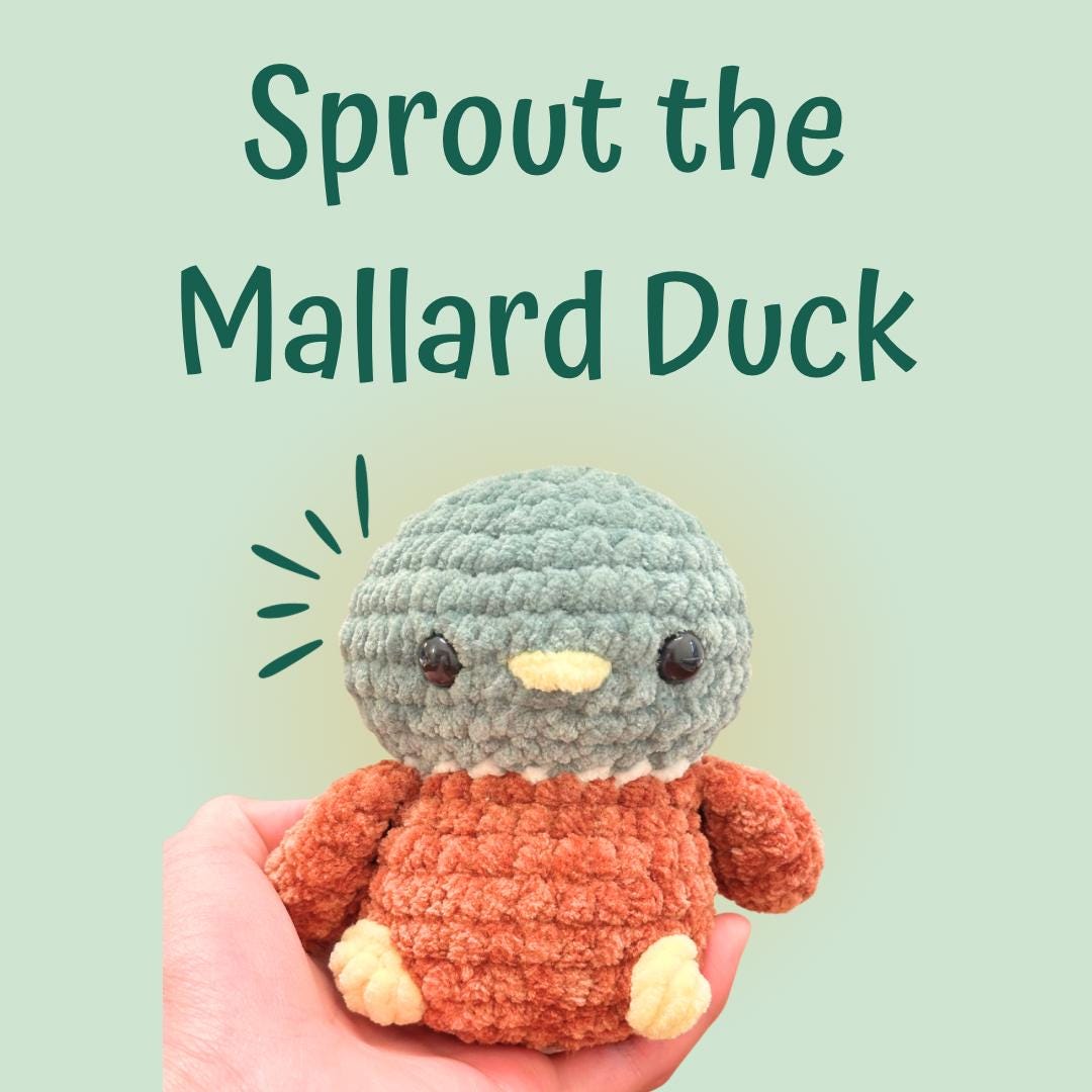 Sprout the Mallard Duck Adorable Crochet Plushie Handmade Amigurumi ...