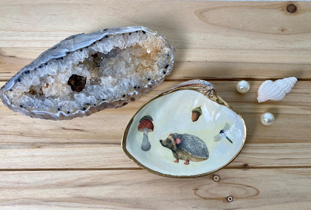 Hedgehog Clam Shell Coastal Decor Ring Dish Trinket Bowl Gift Decoupage ...