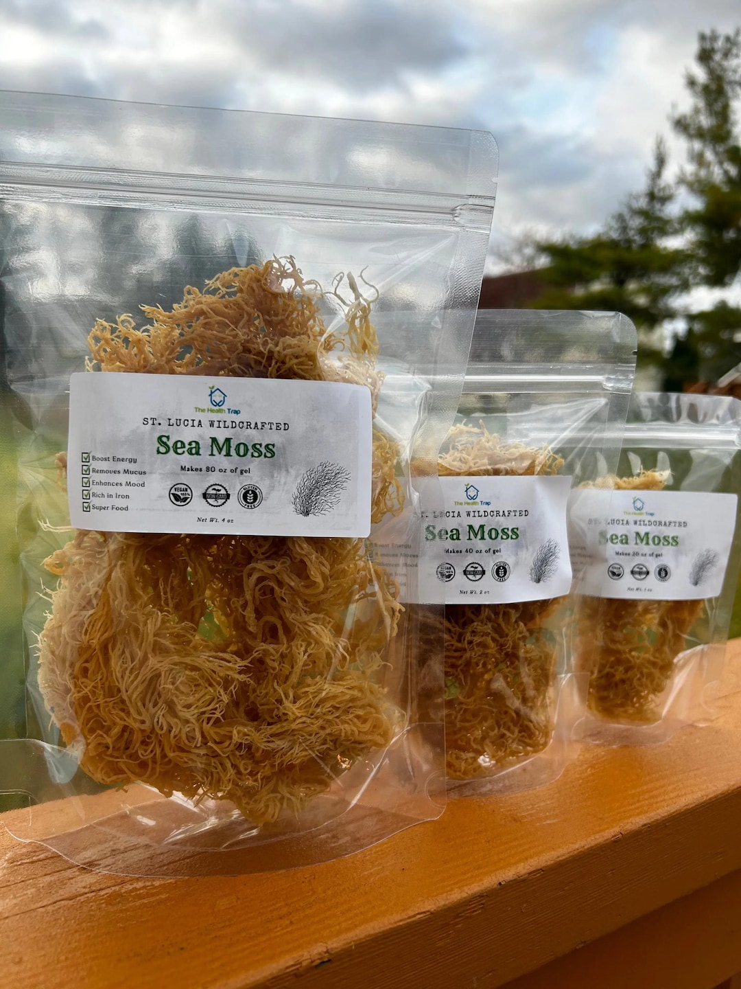 St Lucia Gold Raw Sea Moss, Organic Wildcrafted Sea Moss - Etsy