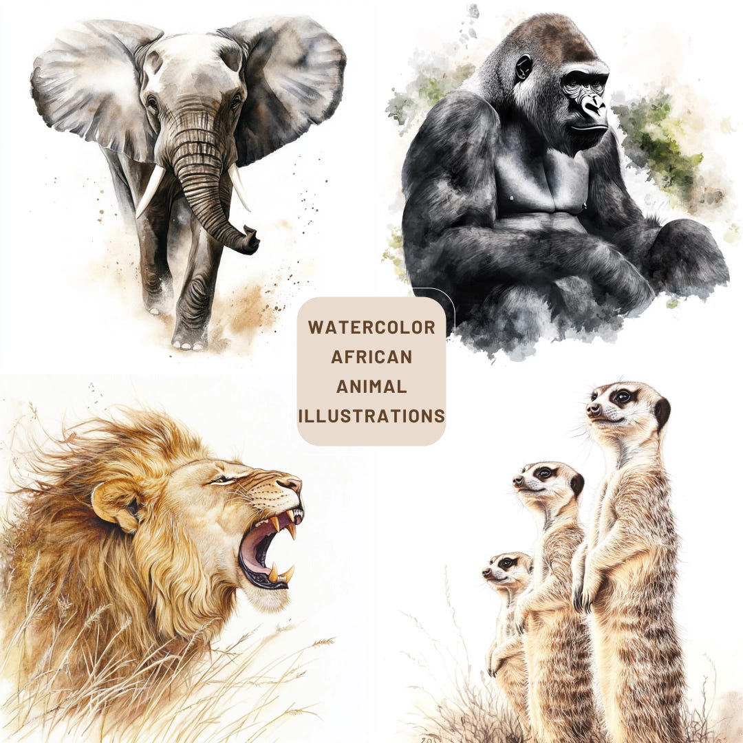 22 Realistic Watercolor African Animal Illustrations , 4096x4096 JPG ...