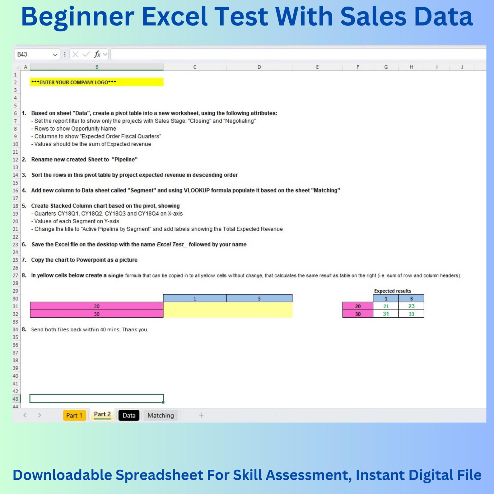 Beginner Excel Test With Sales Data, Pivot Table & Data Matching ...
