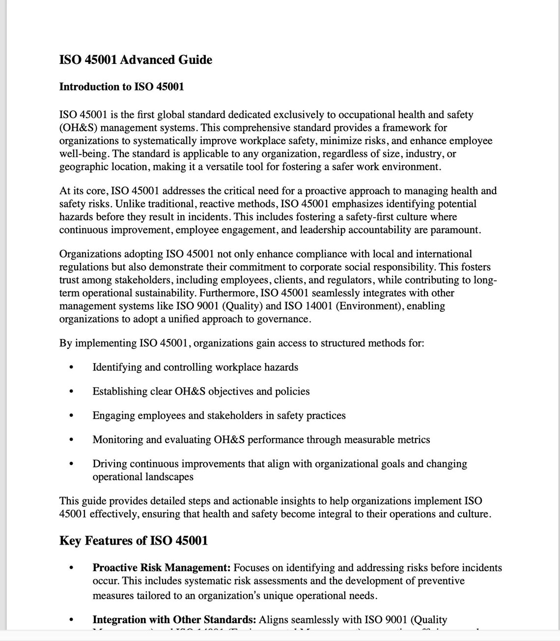 ISO 45001 Guide: Risk Management & Audit Template - Etsy
