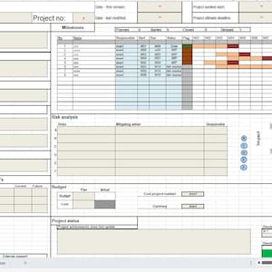 A3 Project Management Template: Editable Excel Workflow (digital ...