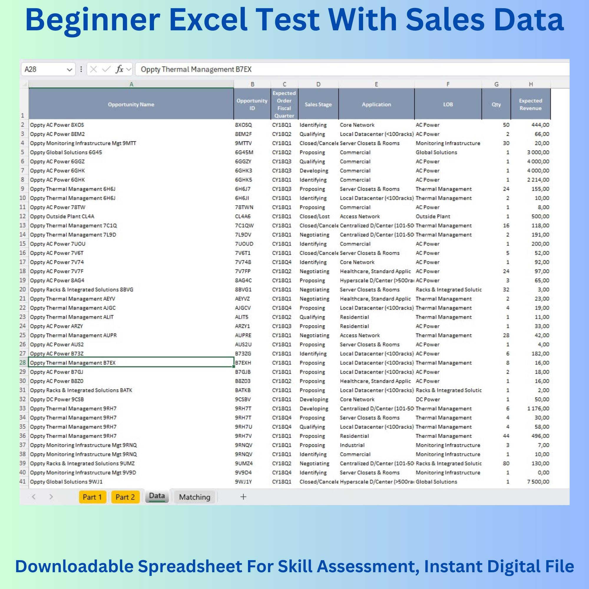 Beginner Excel Test With Sales Data, Pivot Table & Data Matching ...