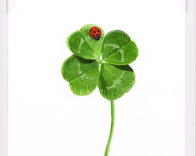 Four Leaf Clover With Lady Bug Watercolor Good Luck Gift - Etsy