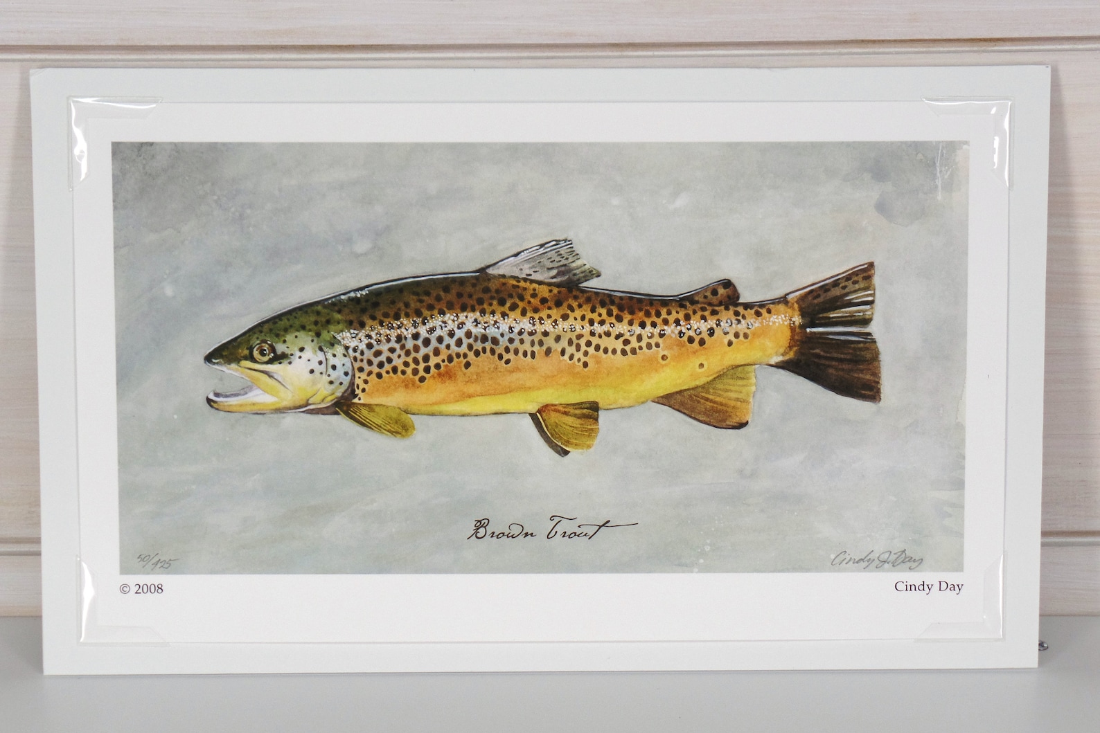 Brown Trout Art Watercolor Trout Fly Fishing Art Trout - Etsy