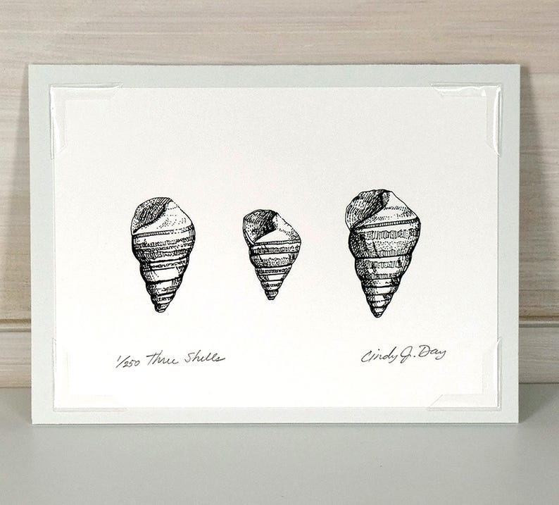 Seashell Art Print, Black and White Shell Drawing, 5x7 Coastal Wall Art ...